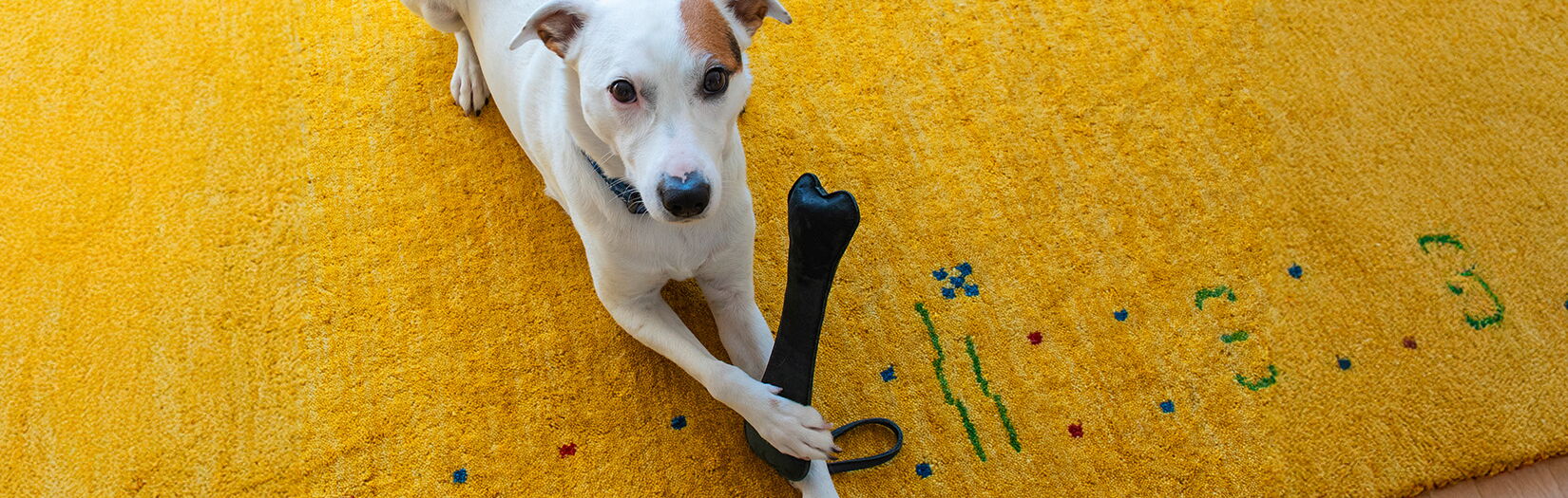 Onlineshop für Accessoires, Modeartikel, Küchenartikel – JA\UND?