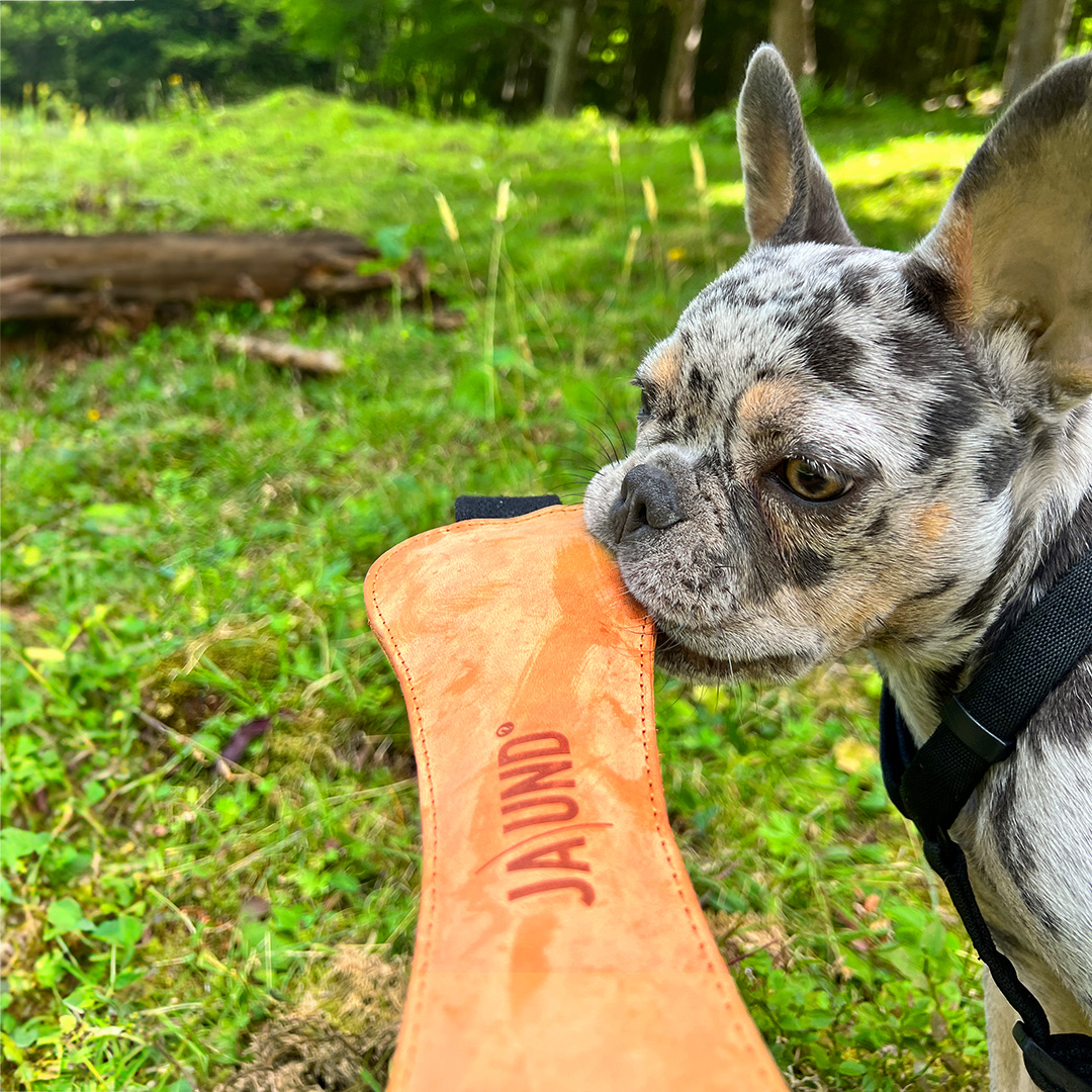 Lederknochen heavy – JA\UND?